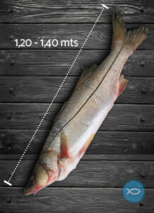 Róbalo entero GRANDE | $5,20 | Envíos QUITO y VALLES.